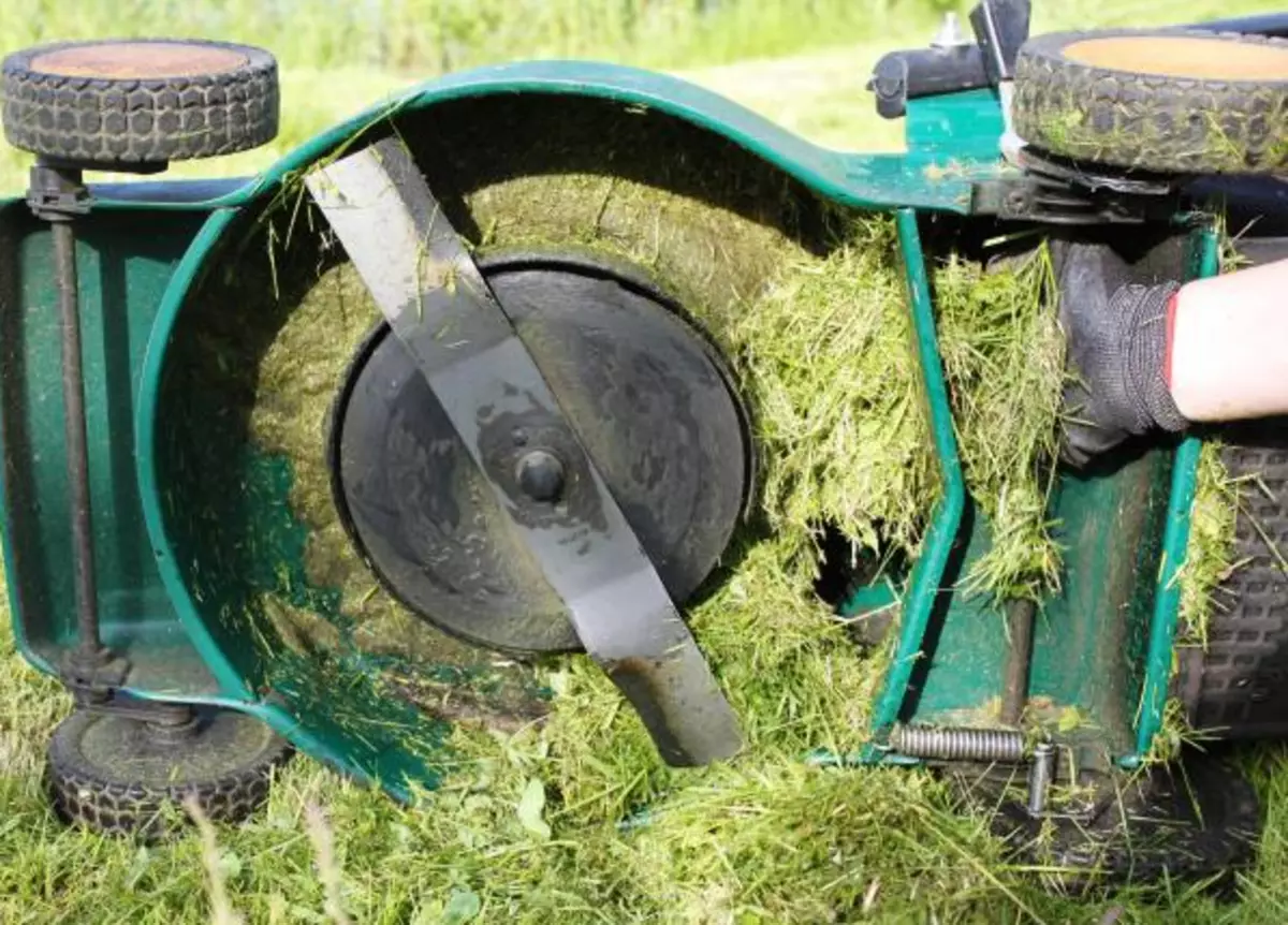 ელექტრო გაზონის mower 12628_5