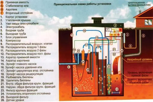 Alegeți cel mai bun remediu pentru Cesspools și Septicistii: Astra, Topp, rezervor, recenzii 12671_3