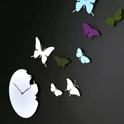 Butterflies mumukati meiyo furati + mufananidzo 1439_26