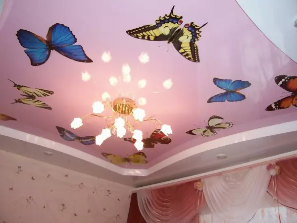 Mariposas en el interior del apartamento + foto. 1439_31