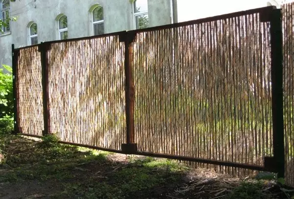 How to make a braided fence with your own hands from the vine + photo and video 1500_7