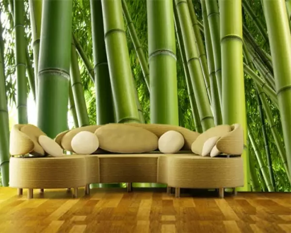 Зелени стени Мистели в кухненския интериор, спалня, хол