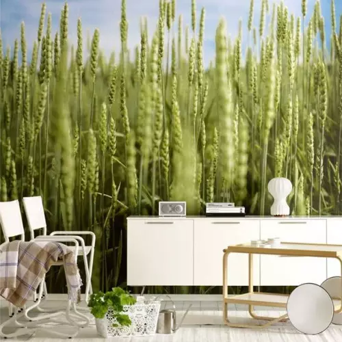 Зелени стени Мистели в кухненския интериор, спалня, хол