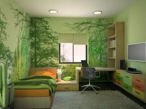 绿色墙壁薄雾在厨房内部，卧室，客厅