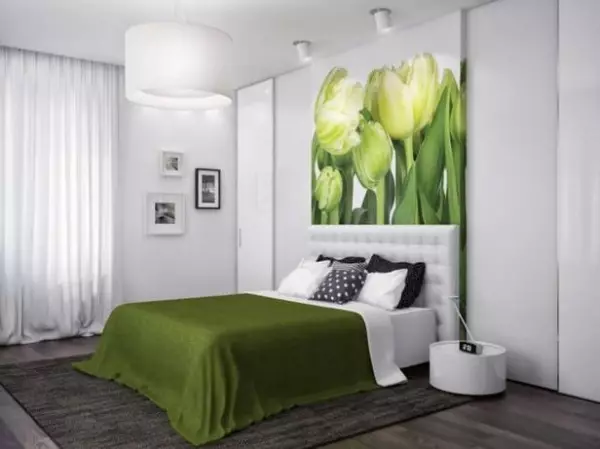 绿色墙壁壁画在厨房，卧室，起居室+照片的内部 1540_36