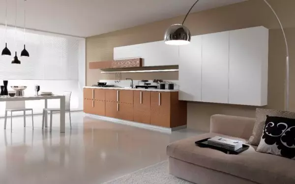 Design de bucătărie în stilul minimalismului + fotografie 1545_10
