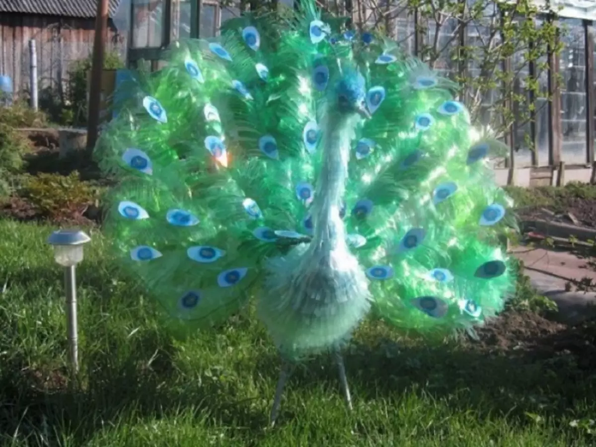Peacock από πλαστικά μπουκάλια + φωτογραφία 15654_2