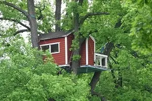 איך לעשות בית על עץ לעשות את זה בעצמך 1591_5