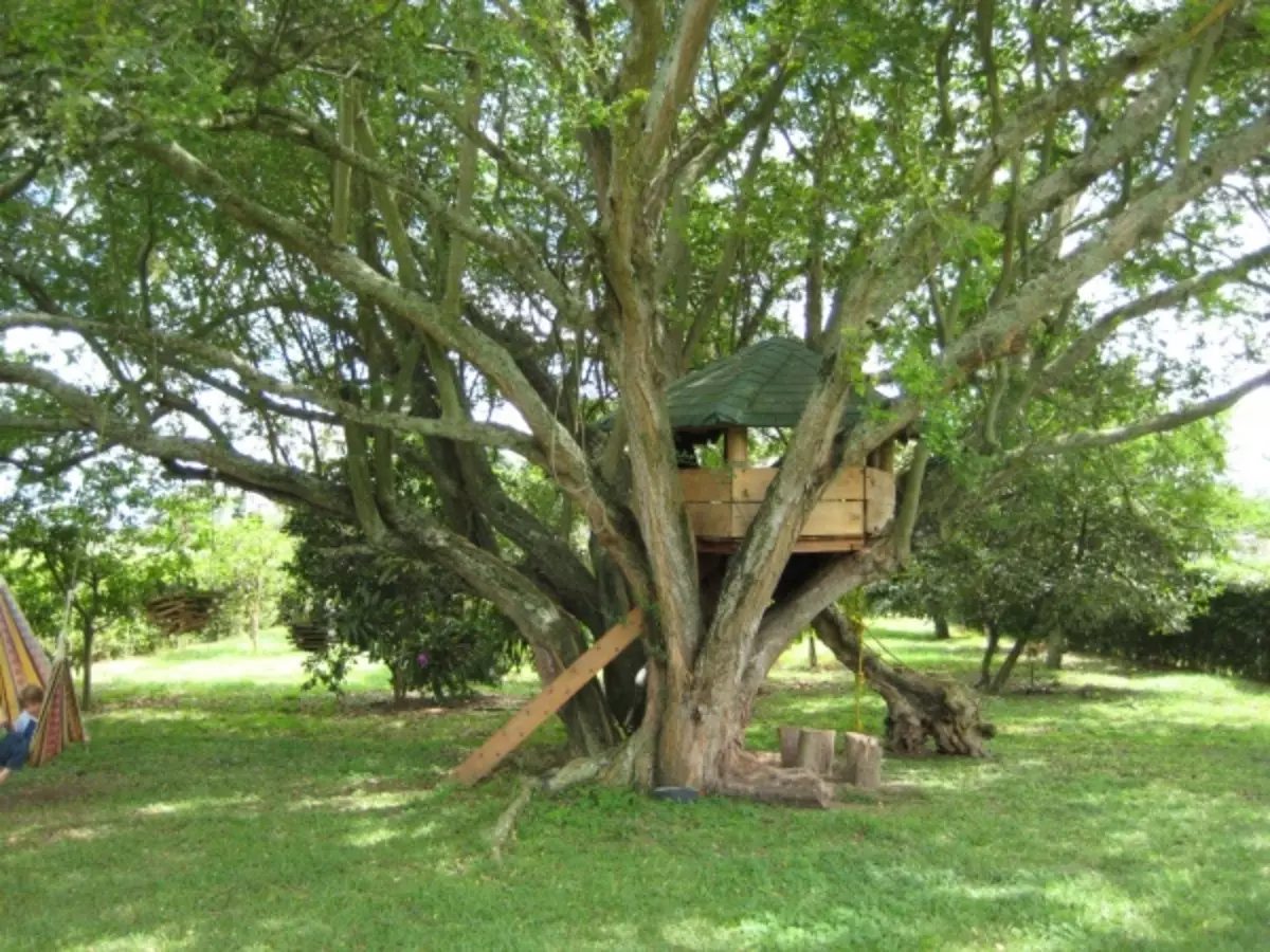 Kako narediti hišo na drevesu 1591_9