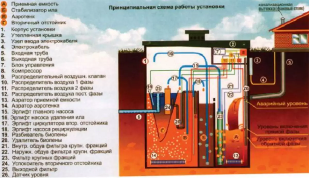 Septic cisterna 