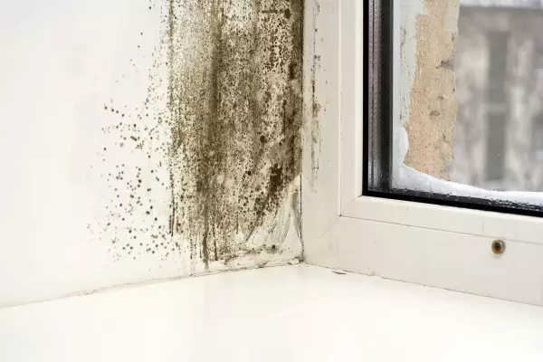 Comment se débarrasser du condensat sur des fenêtres en plastique du côté de la pièce 1619_2