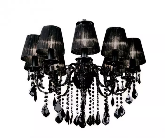 ጥቁር chandelier + ፎቶ 16349_8