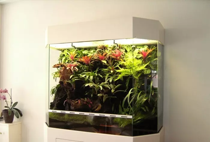 Florarium + ata 16381_12