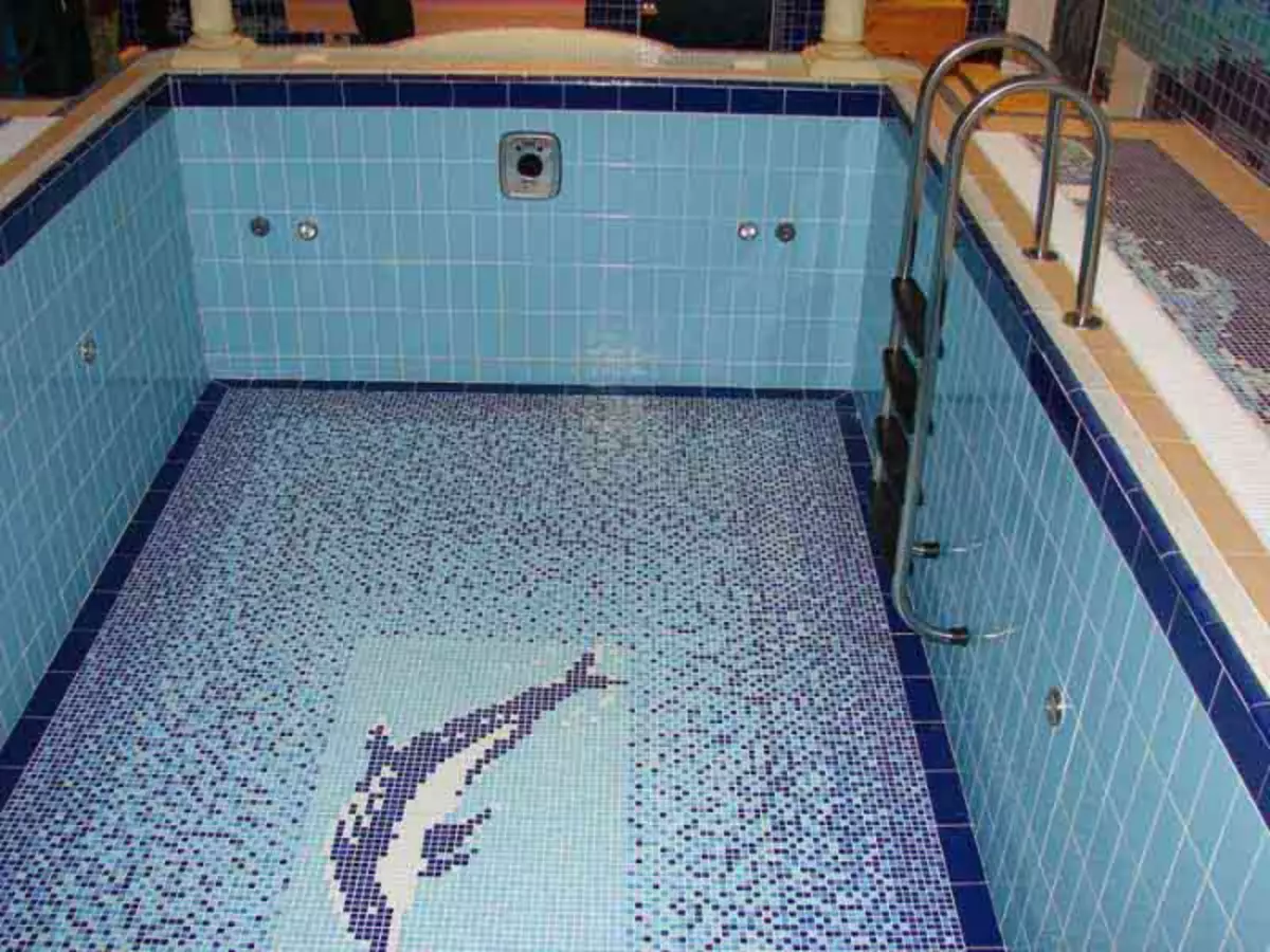 Tile para sa pool 19245_7