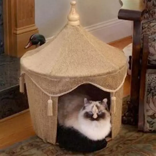 Како да направите куќа за фотографија на мачка + 19349_3