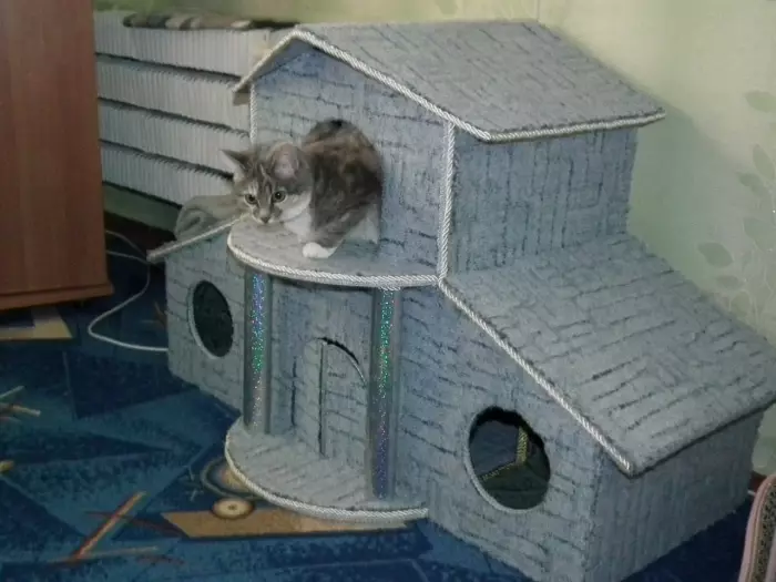 Casa per un gatto da cartone + foto 19355_16