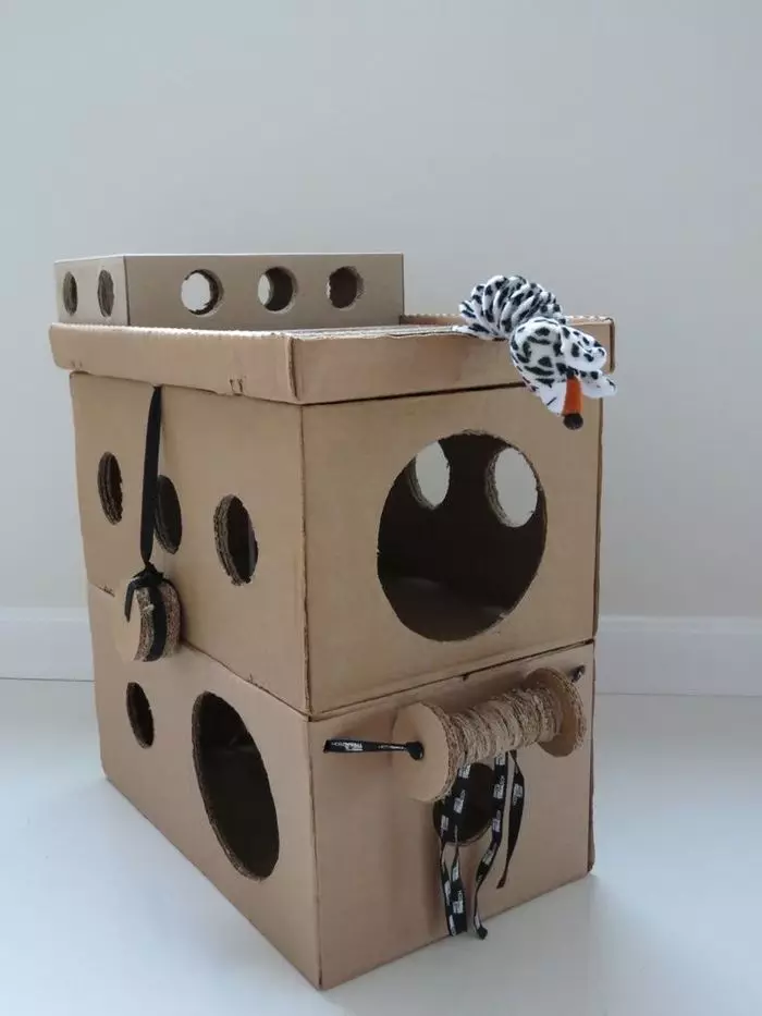 Kutudan bir kedi için bir ev nasıl yapılır 19356_17