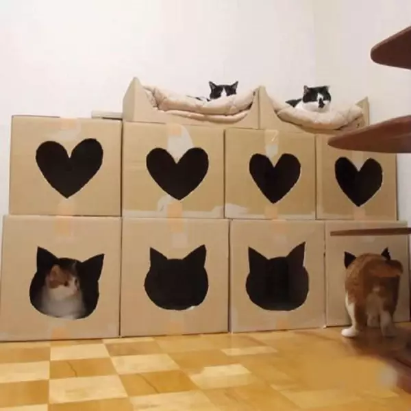 Hoe maak je een huis voor een kat uit de doos 19356_4