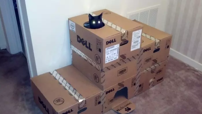Hogyan készítsünk házat egy macskára a dobozból 19356_6