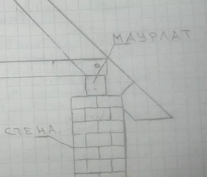 Shedra disegnando con tetto singolo 3x6 19371_10