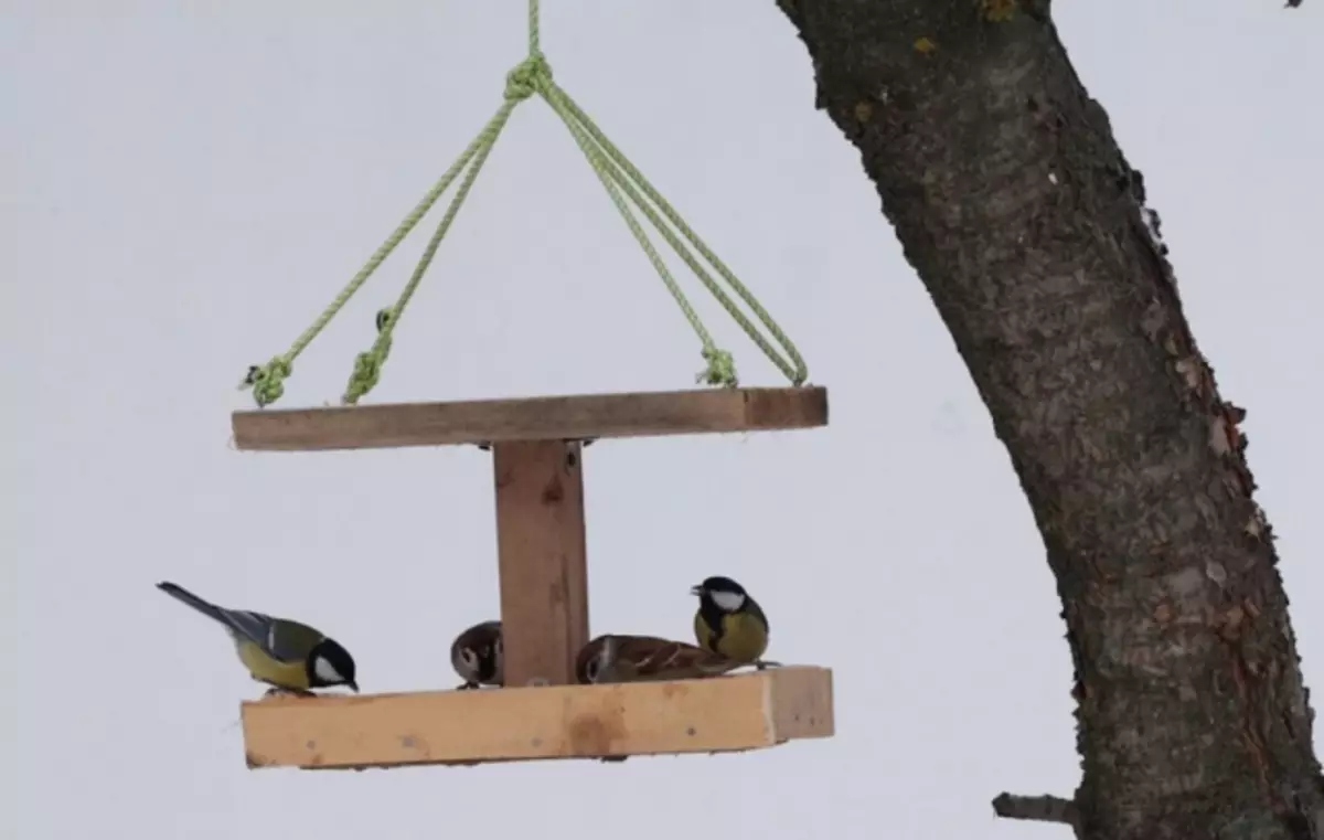 Kā padarīt barotnes putniem no koka darīt to pats