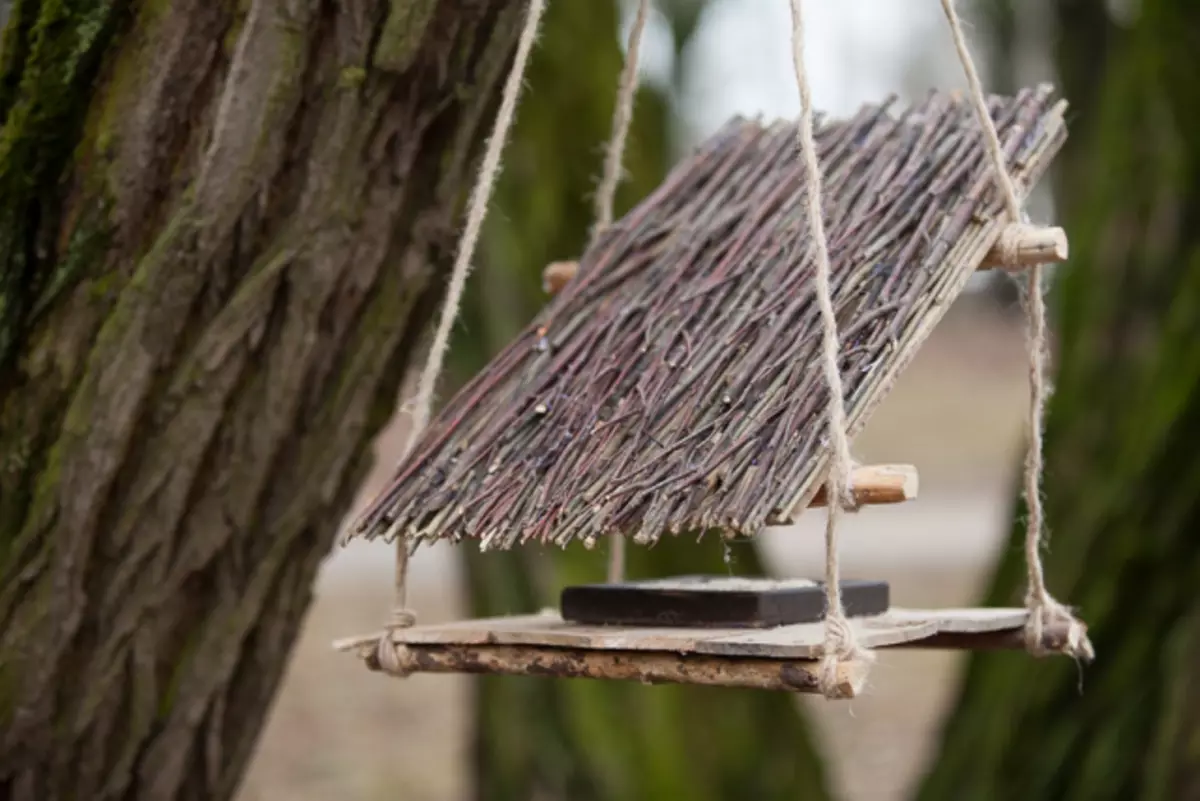 Hoe feeders voor vogels uit de boom te maken, doe het zelf