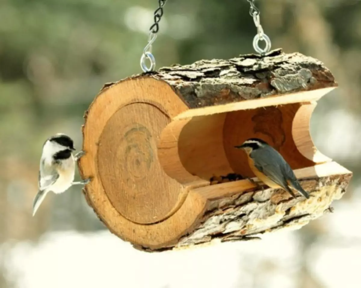 Làm thế nào để làm cho người ăn cho chim từ cây tự làm