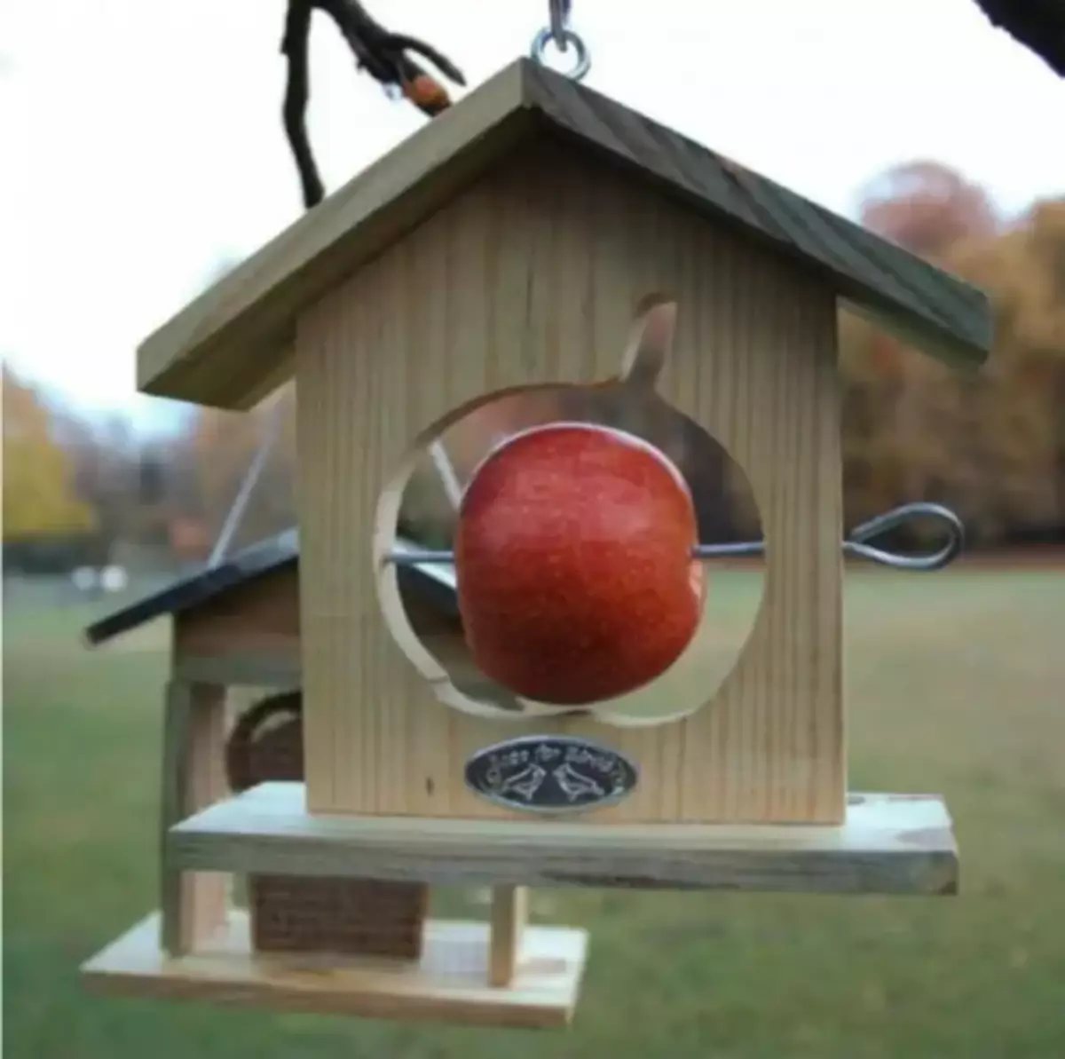 Como facer alimentadores para aves da árbore faino vostede mesmo