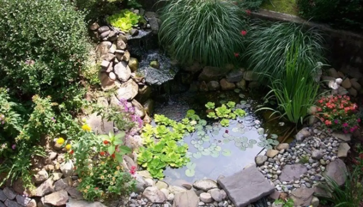 あなた自身の手でプロットに装飾的な池を作る方法