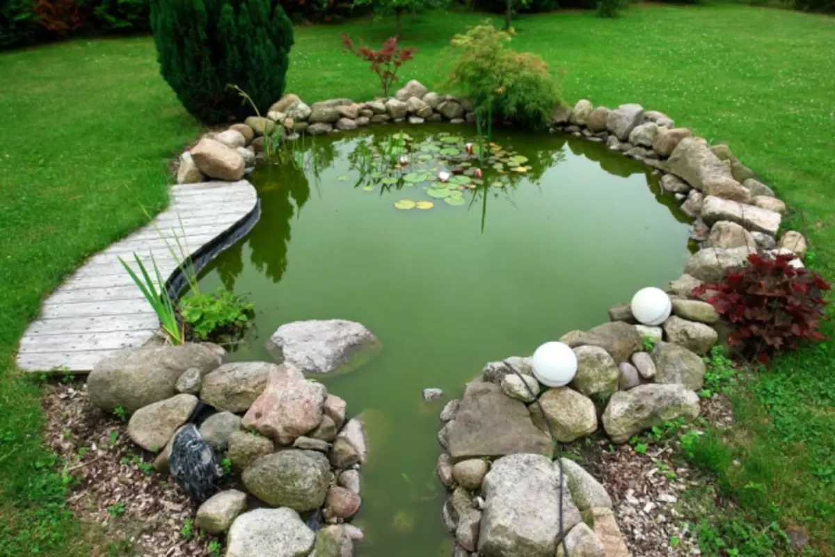 あなた自身の手でプロットに装飾的な池を作る方法