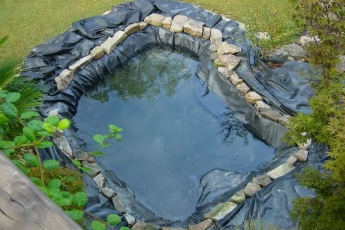 Ako urobiť dekoratívny rybník na pozemku s vlastnými rukami