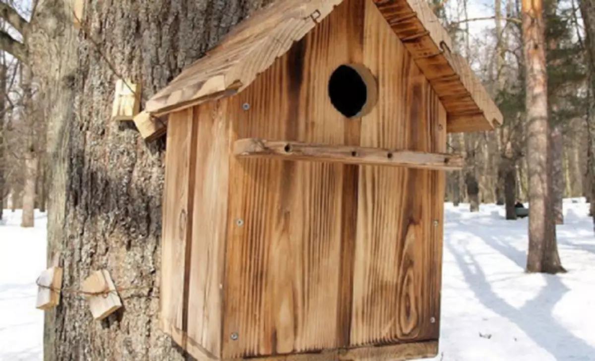 Birdhouse of Wood: Cómo hacerlo usted mismo, dibujos, esquemas, fotos