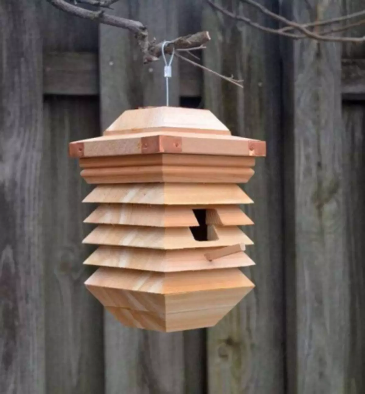 Birdhouse of Wood: Meriv çawa xwe, nexşe, nexşe, wêneyan çêbikin