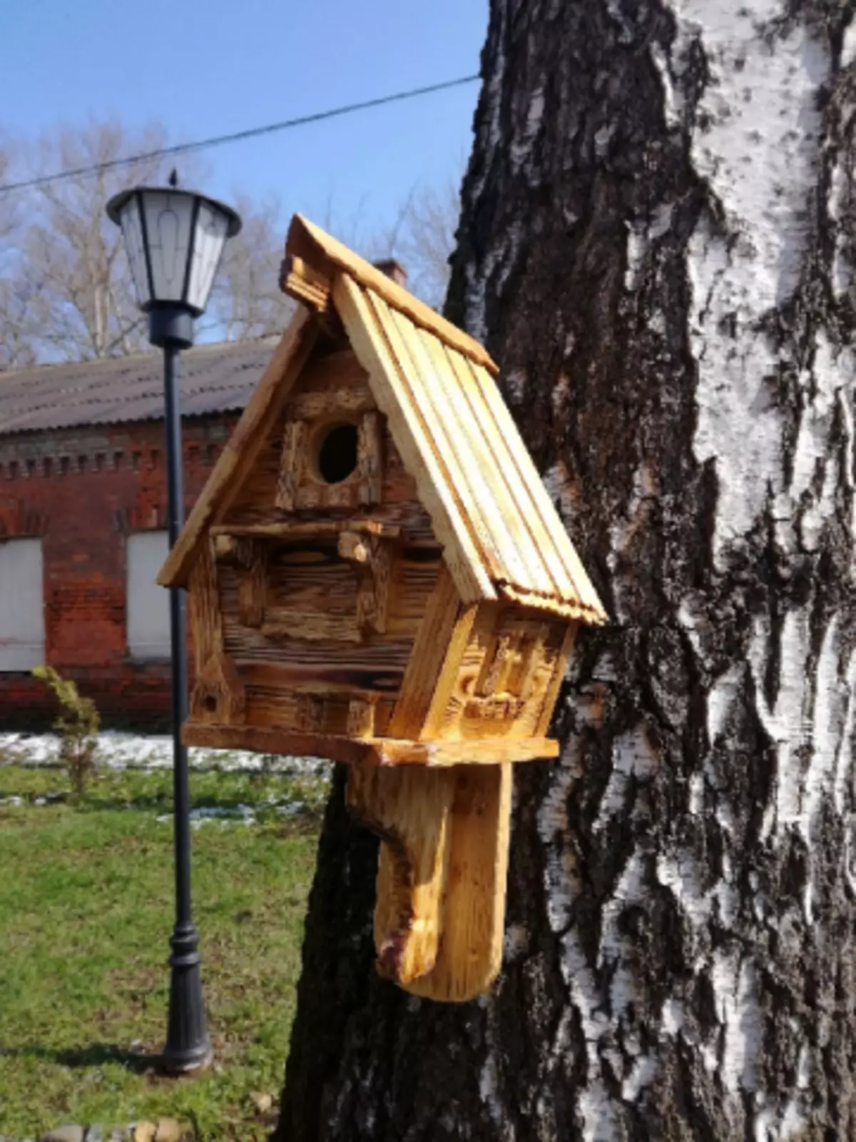 Birdhouse iz lesa: Kako narediti sami, risbe, sheme, fotografije