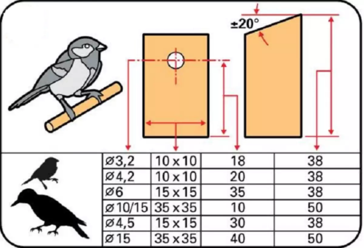 Birdhouse of Wood: come farsi da solo, disegni, schemi, foto