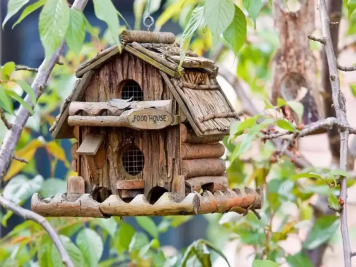 Birdhouse of Wood: Kako to učiniti, crteži, sheme, fotografije