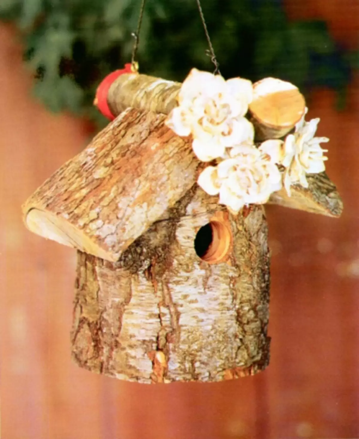 Birdhouse of Wood: Como fazer você mesmo, desenhos, esquemas, fotos