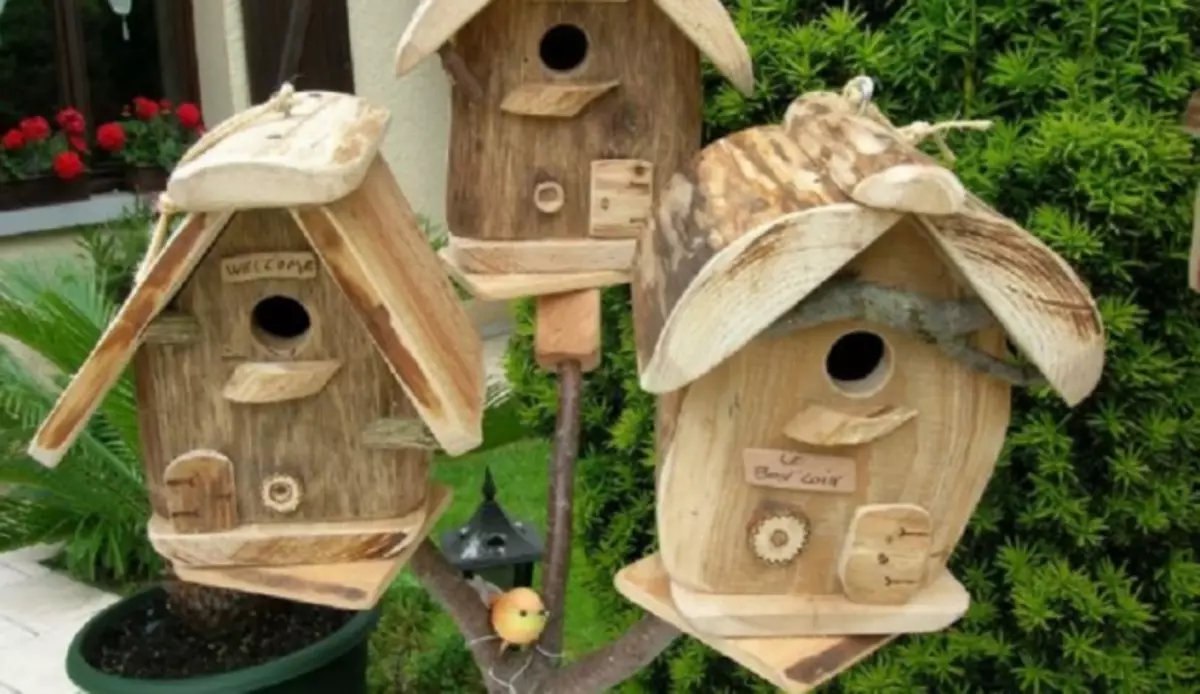 Birdhouse من الخشب الرقائقي: الأحجام والرسومات، وكيف تجعلها بنفسك