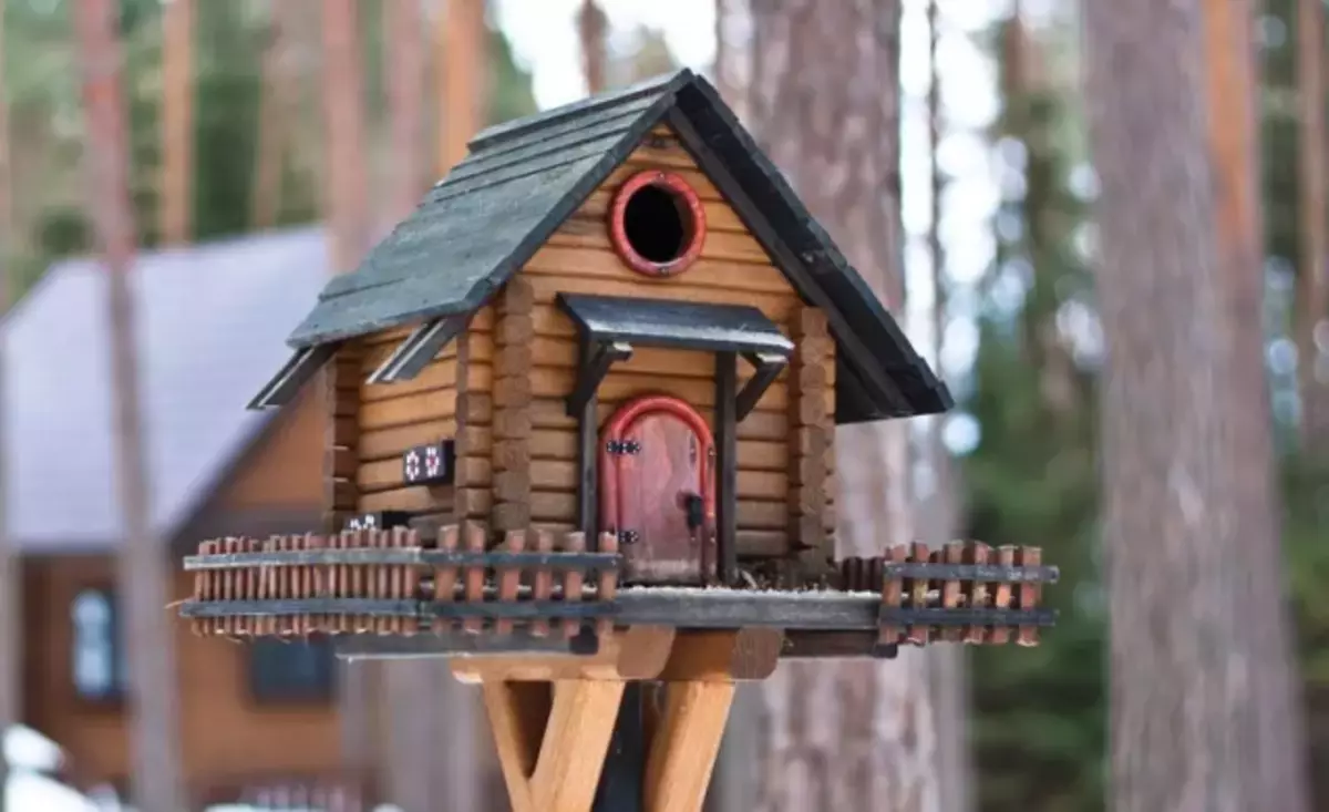 Plywood থেকে Birdhouse: মাপ, অঙ্কন, কিভাবে এটি নিজেকে করতে