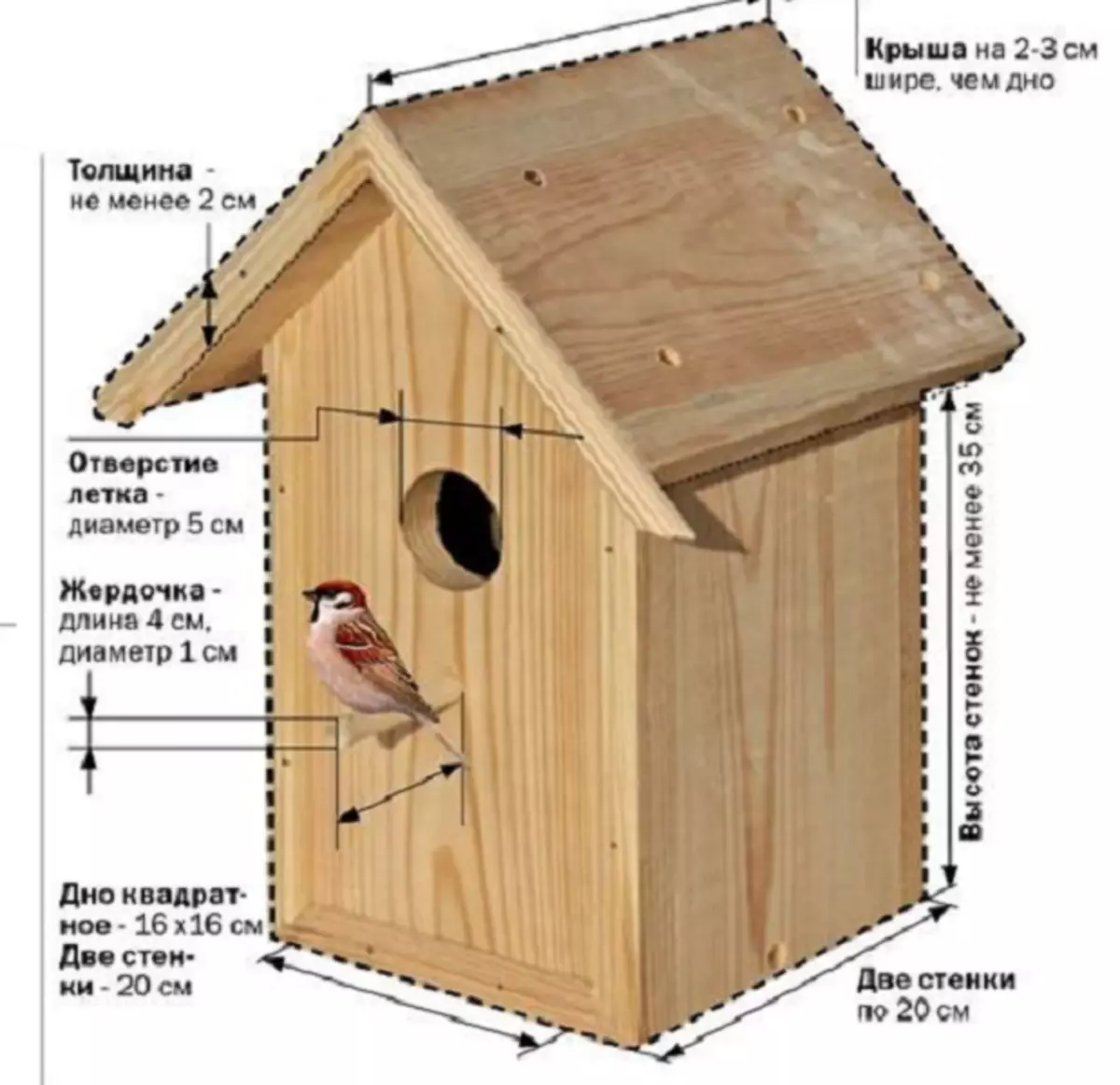 I-birdhouse evela ku-plywood: osayizi, imidwebo, ukuthi ungayenza kanjani ngokwakho
