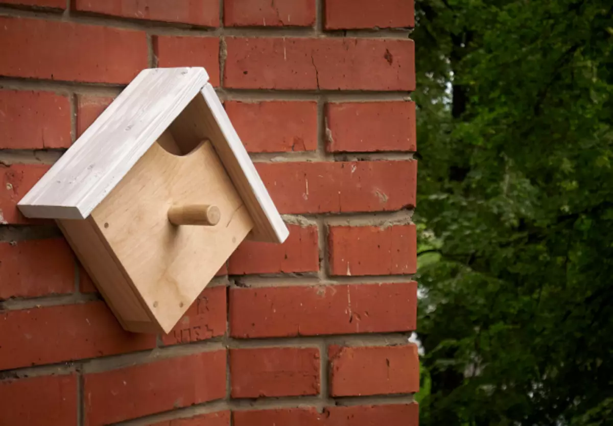 Pájaro de la madera contrachapada: tamaños, dibujos, cómo hacerlo usted mismo