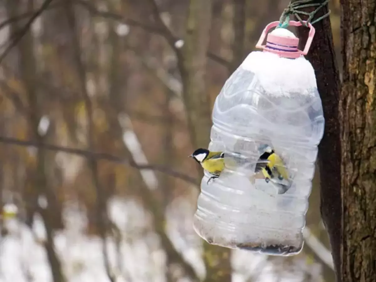 Plastflaskefjeder: Sådan gør du ud af 2, bunker, trin-for-trin instruktioner, originale ideer