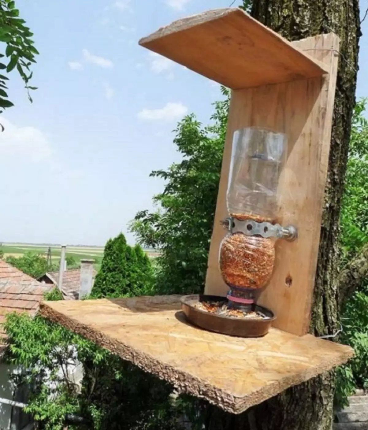 Wie man Vogelfutter aus einer Flasche herstellt: 1, 2, 5-Liter, Foto