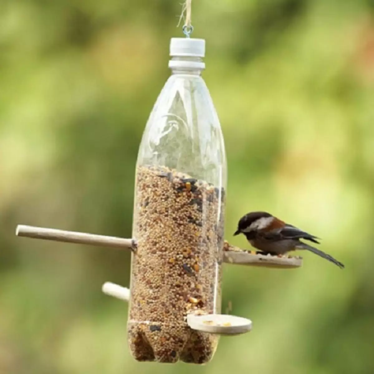 Kako narediti hranilnike ptic iz steklenice: 1, 2, 5-litrski, fotografija