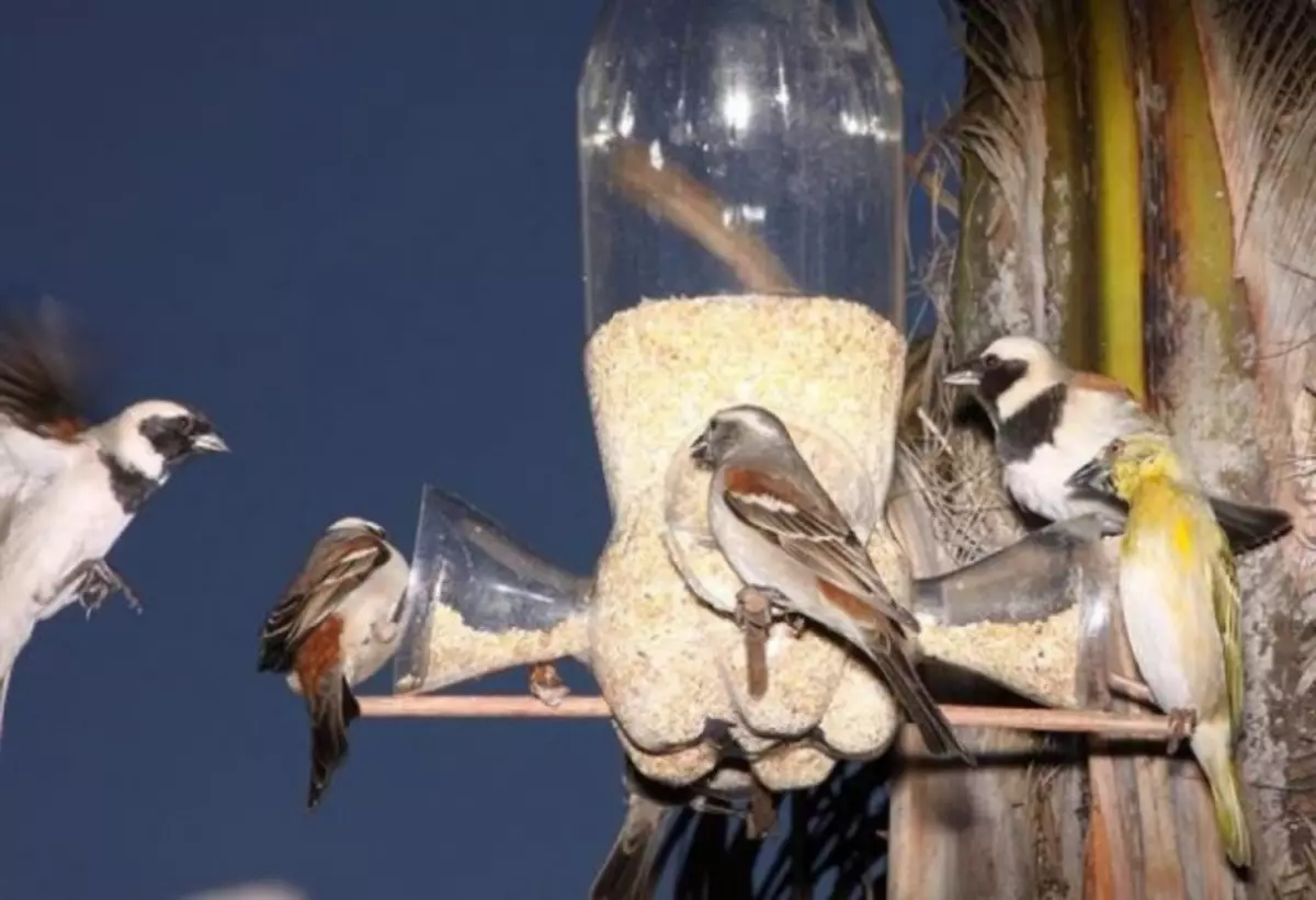Kaip padaryti, kad paukščių tiektuvai iš buteliuko: 1, 2, 5 litrai, nuotrauka