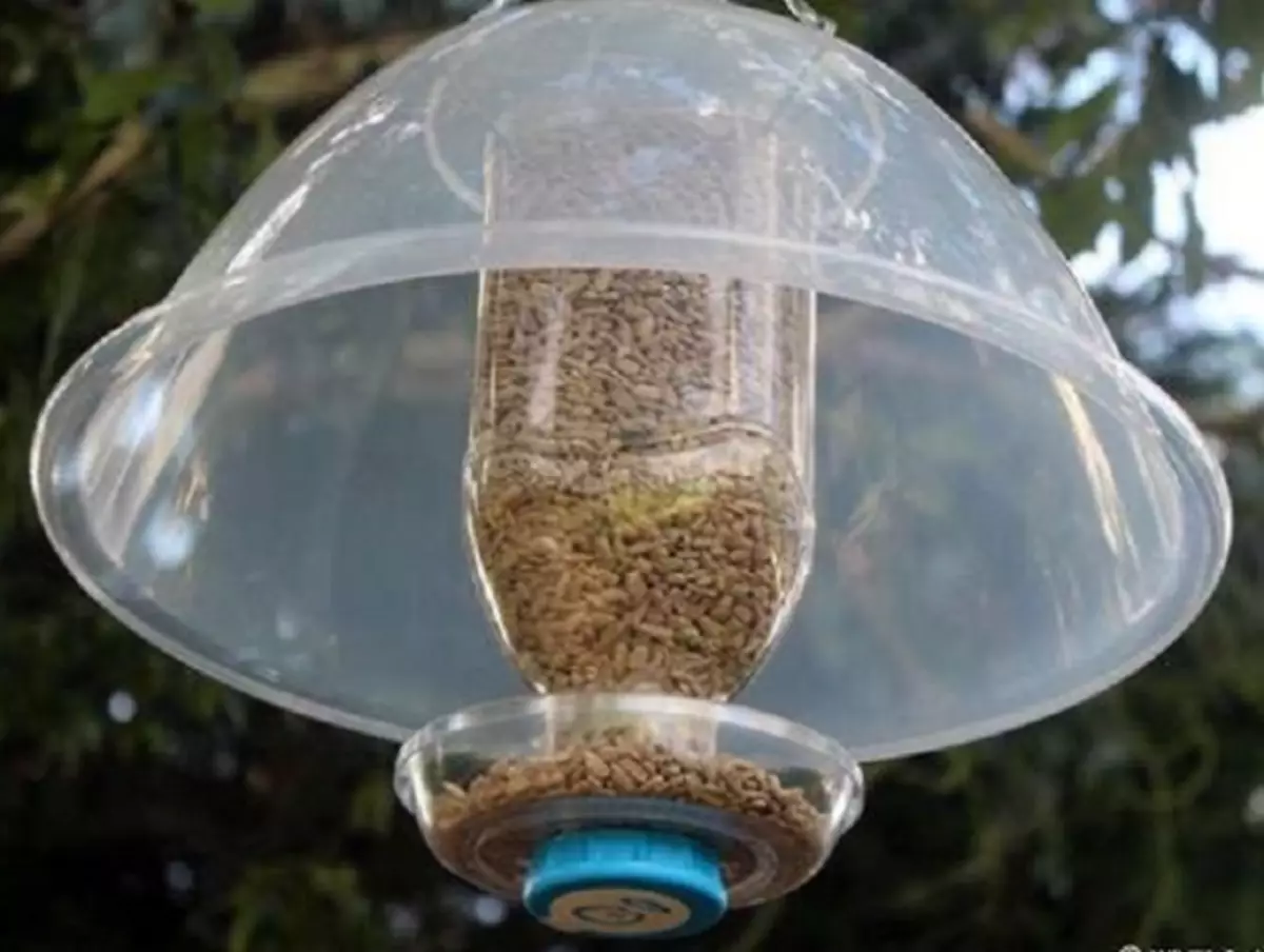 Cómo hacer alimentadores de aves de una botella: 1, 2, 5 litros, foto