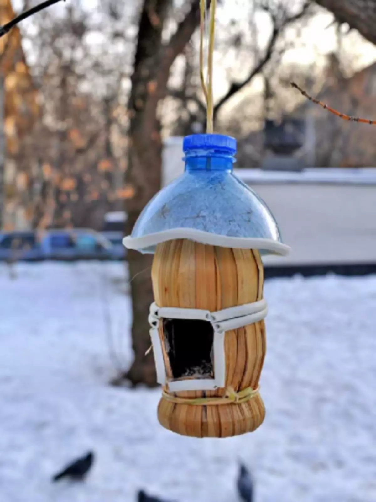 如何从瓶子中制作鸟类饲养者：1,2,5升，照片