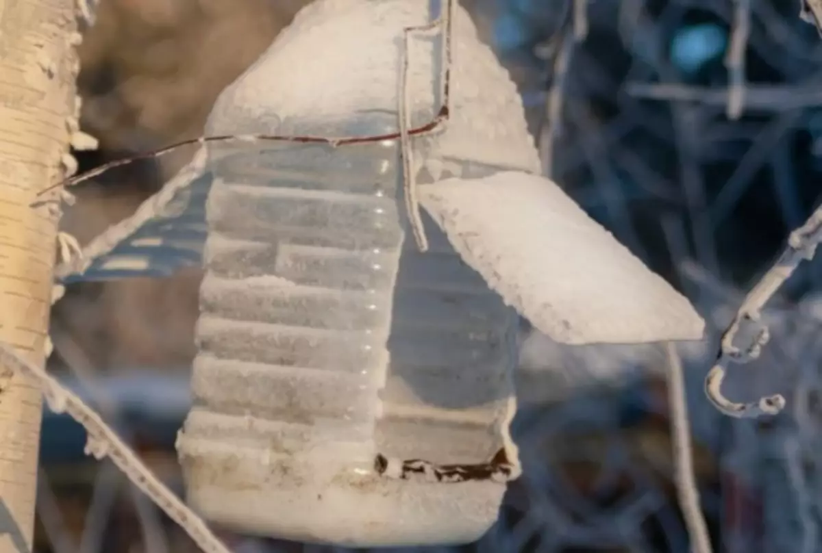 Bir şişeden kuş besleyiciler nasıl yapılır: 1, 2, 5 litre, fotoğraf