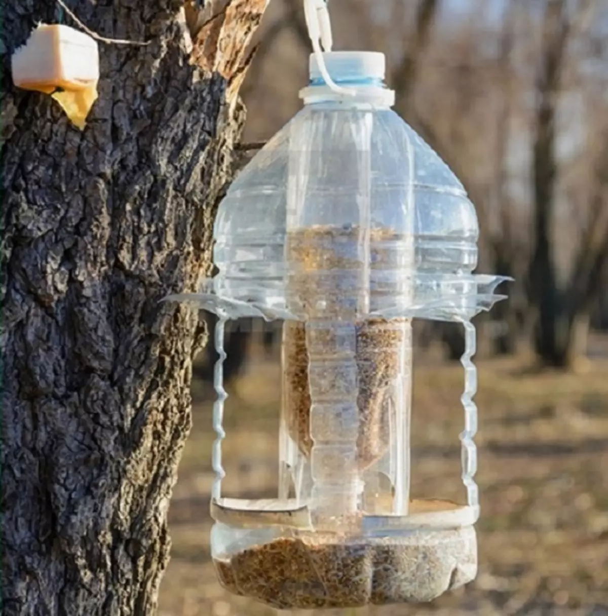 Kepiye cara nggawe feeders manuk saka botol: 1, 2, 5-liter, foto
