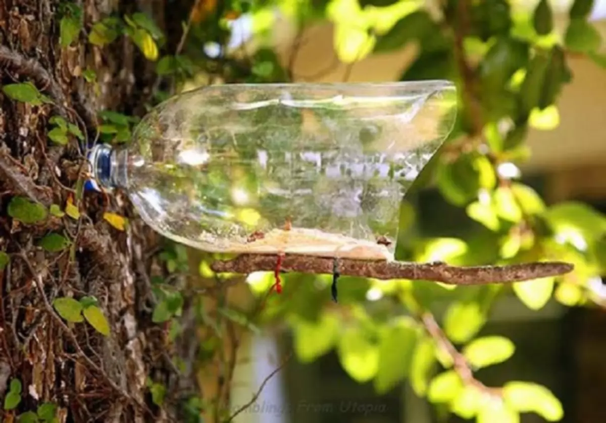 Hvordan lage fuglmatere fra en flaske: 1, 2, 5-liters, foto